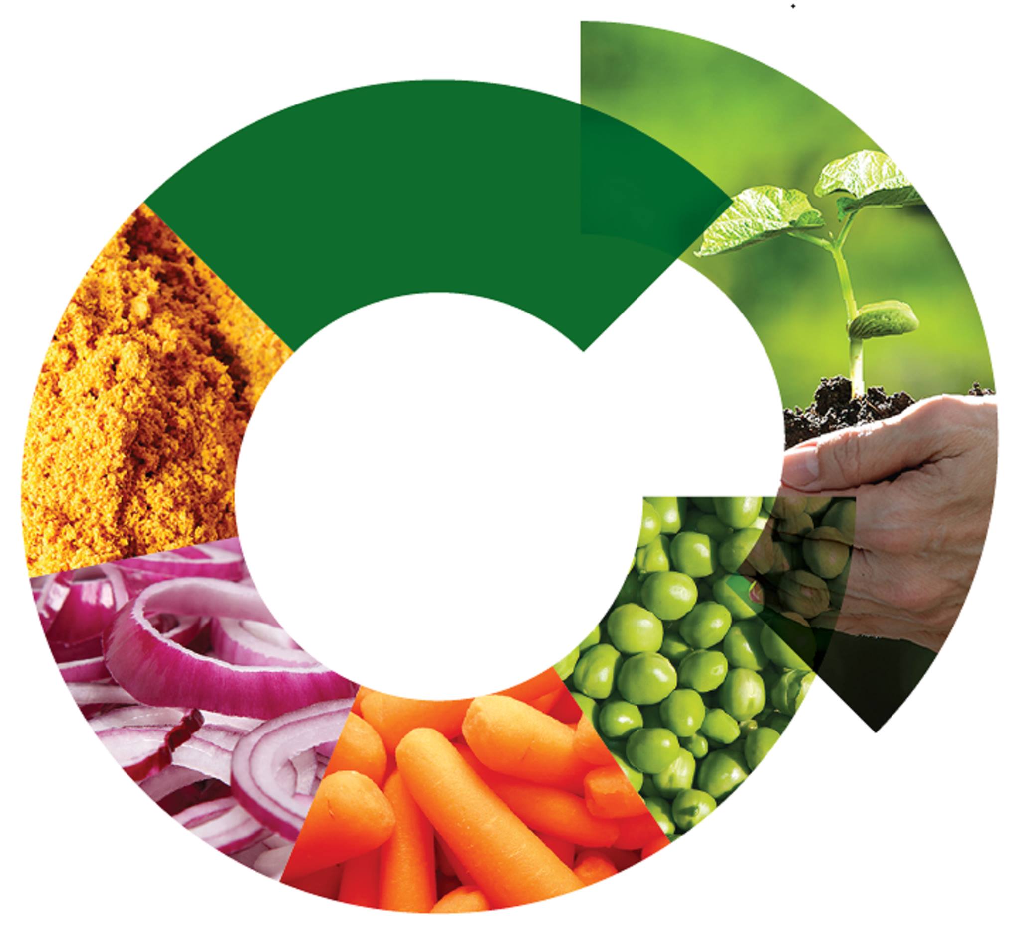 Bedrijfsbezoek vanRijsingengreen - Ondernemers Peelland